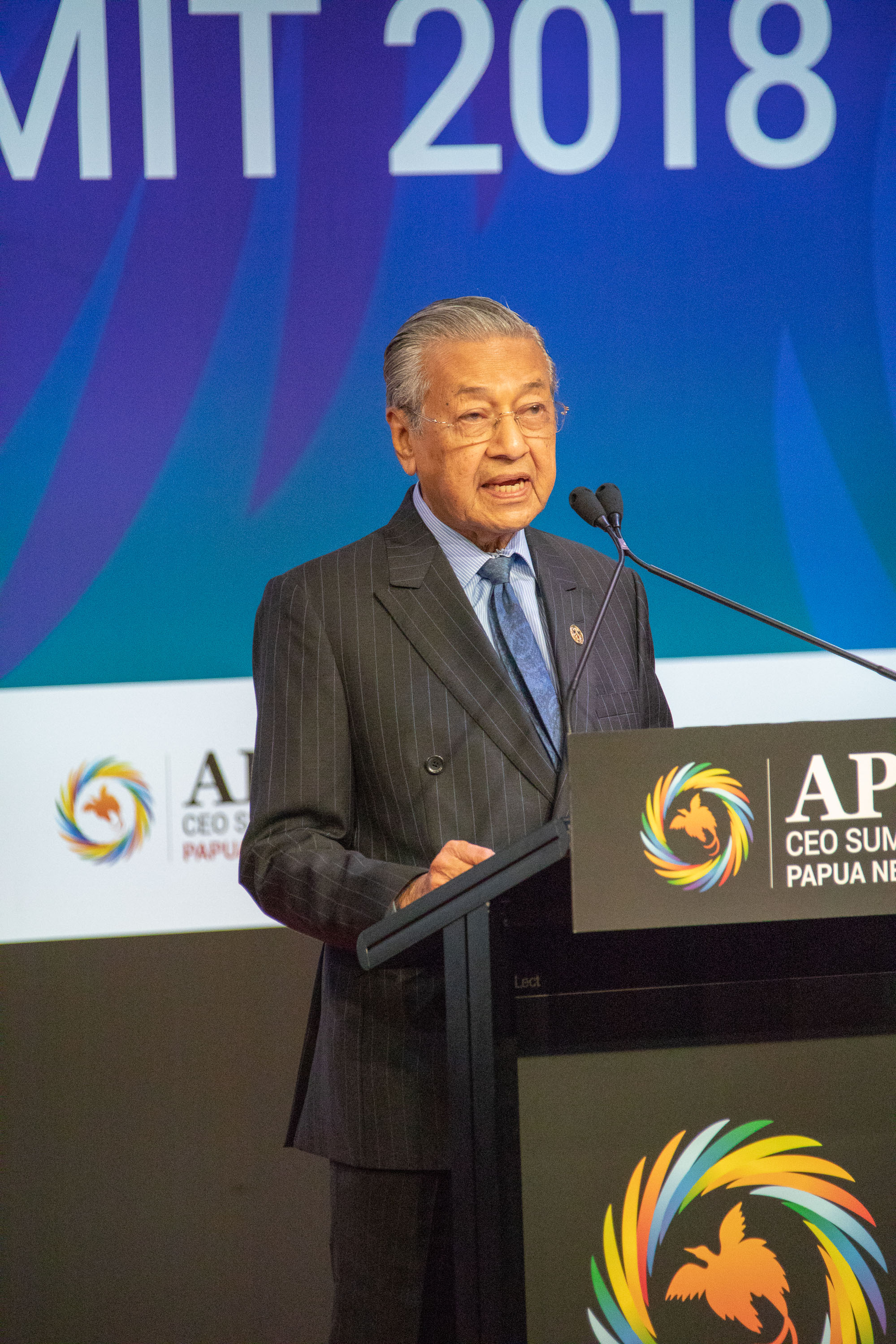 Leaders at the 2018 APEC CEO Summit