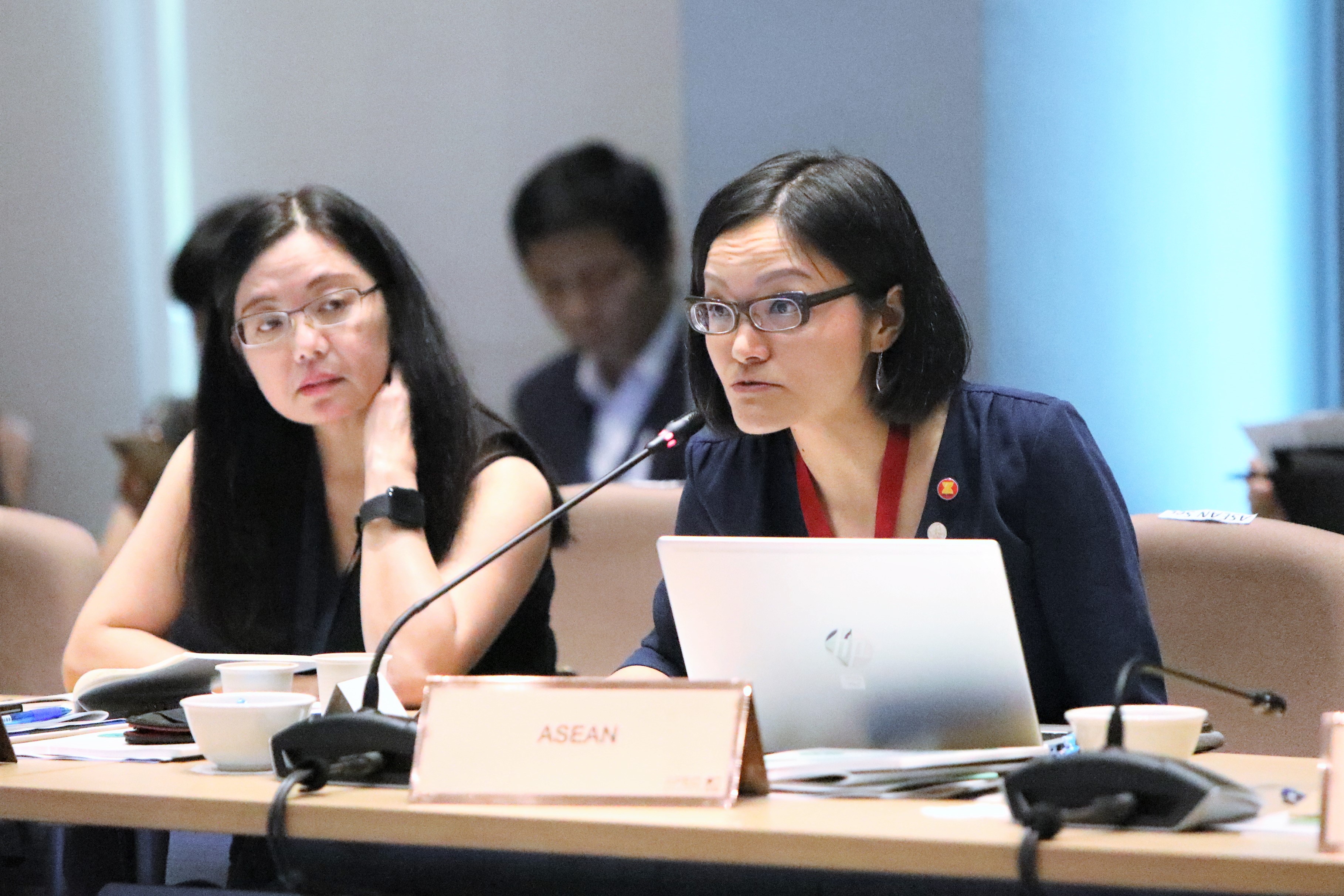 Consensus Fosters Sustainable and Inclusive Growth: APEC Senior Officials