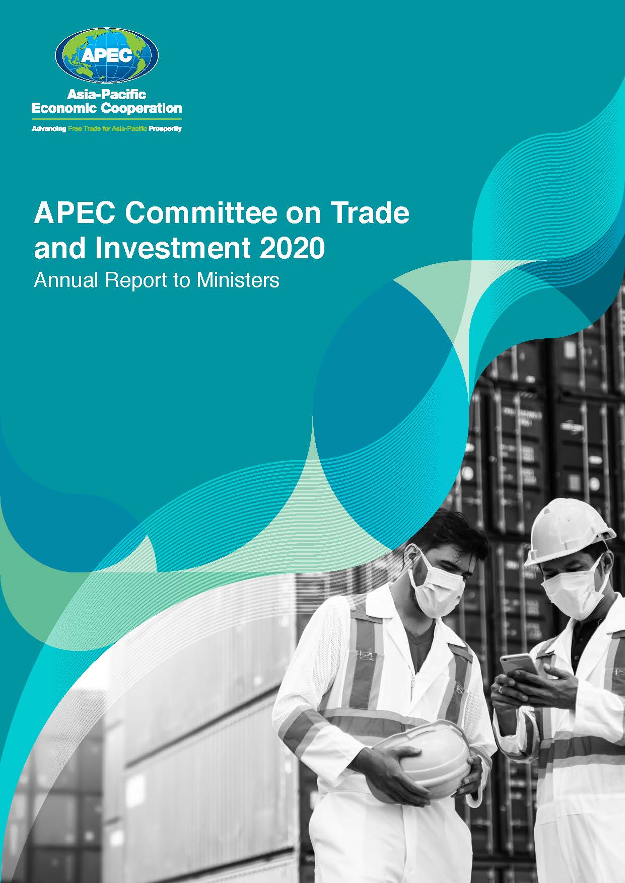 2020 CTI Annual Report to Ministers