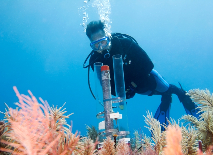 APEC to honor outstanding ocean researcher