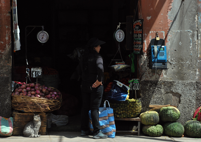 APEC Privacy Framework (2015) | APEC