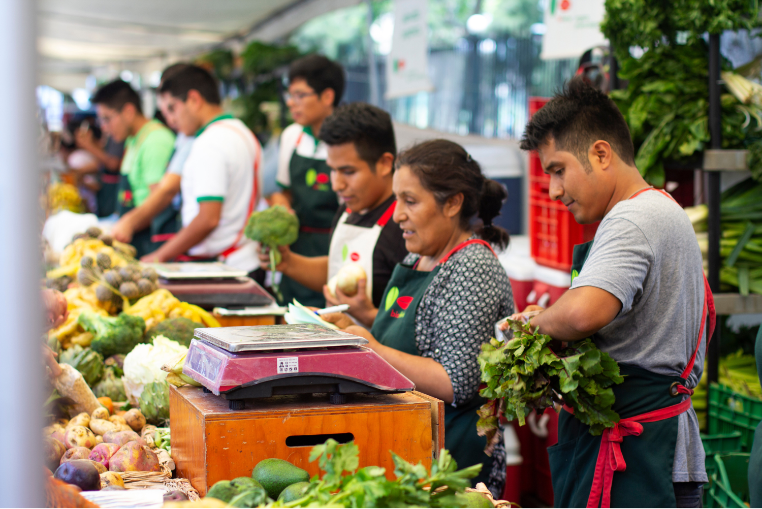 APEC Tackles Economic Fragility With Core Reforms | Mirage News