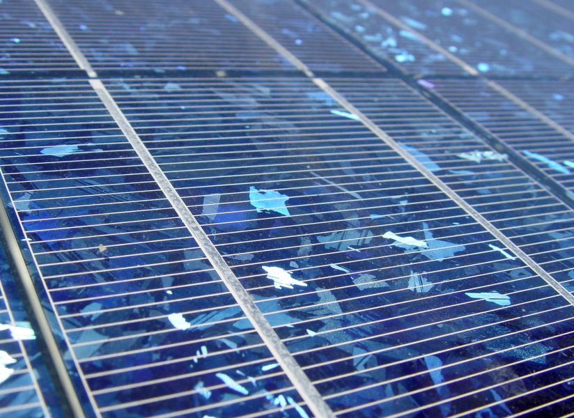 Shining the light on Green Growth issues | APEC