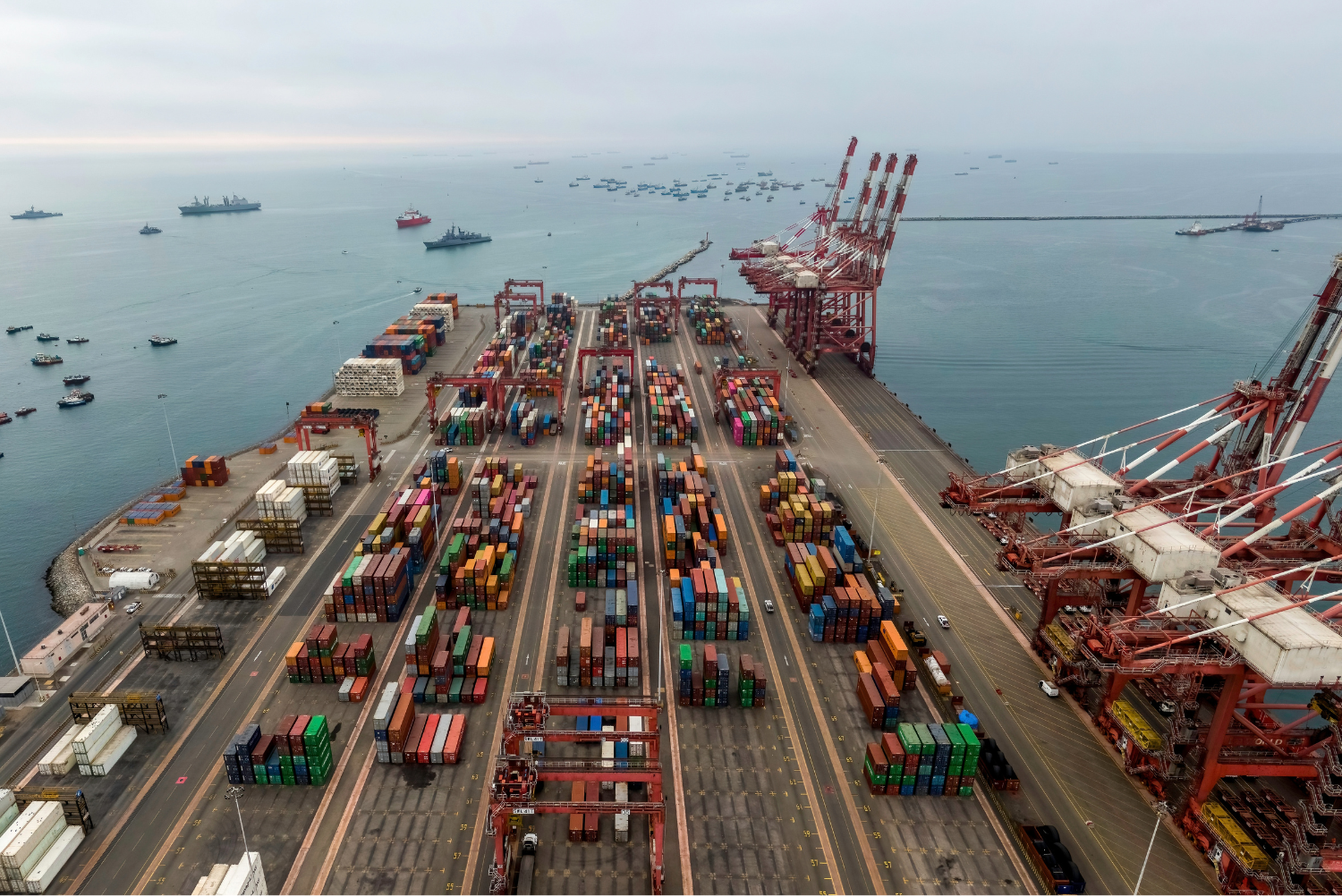 Shaping the Future of Asia-Pacific Trade: Insights from the Third FTAAP ...