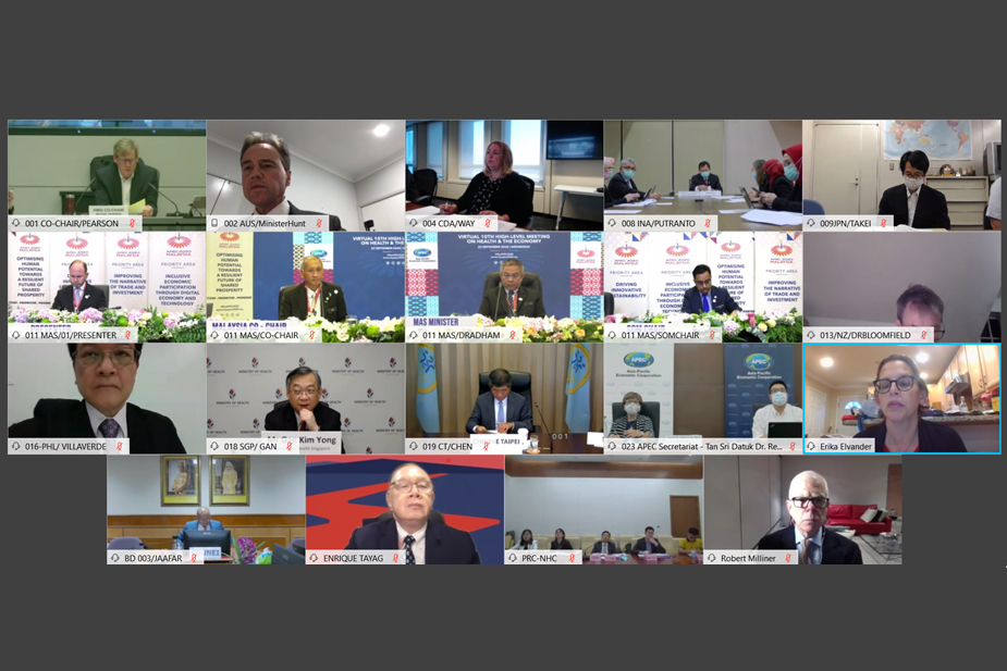 2020 APEC High Level Meeting on Health and the Economy | APEC