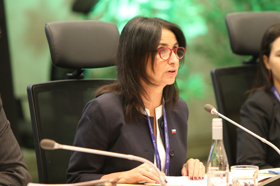 APEC Senior Officials Celebrate International Women’s Day | APEC