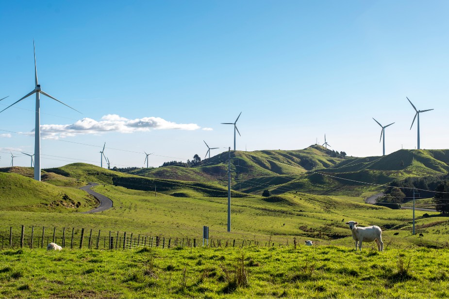 APEC Advances Environmental Goods Tariffs Cut | APEC
