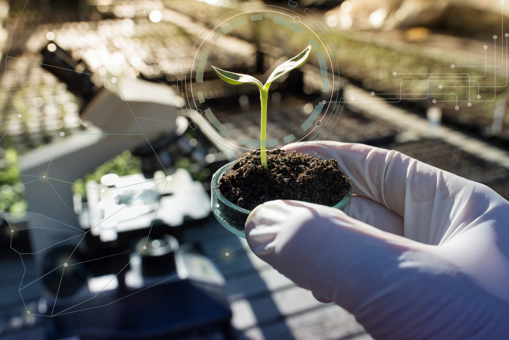 Nominate Next-Gen Scientists Driving AI and Biotech Innovation | APEC
