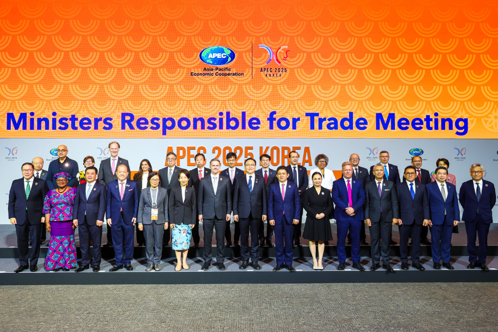 APEC Trade Ministers Issue Joint Statement | APEC