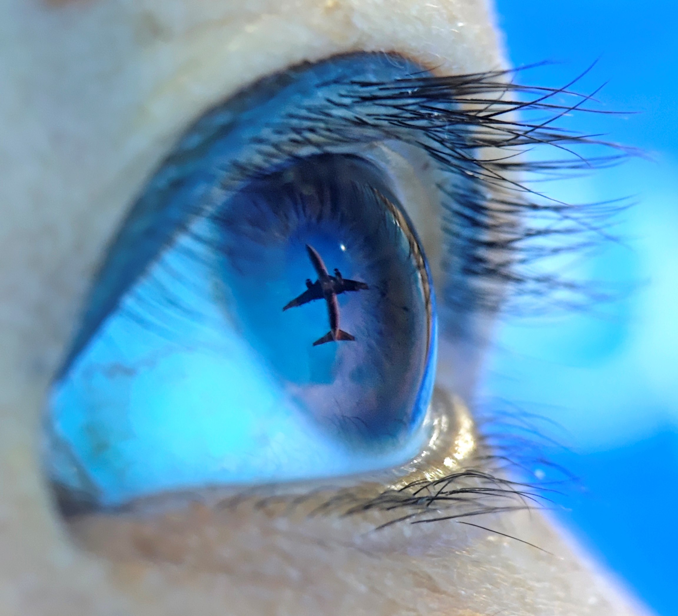 APECs Most Popular Photo 2024: Whats Behind It? | Mirage News