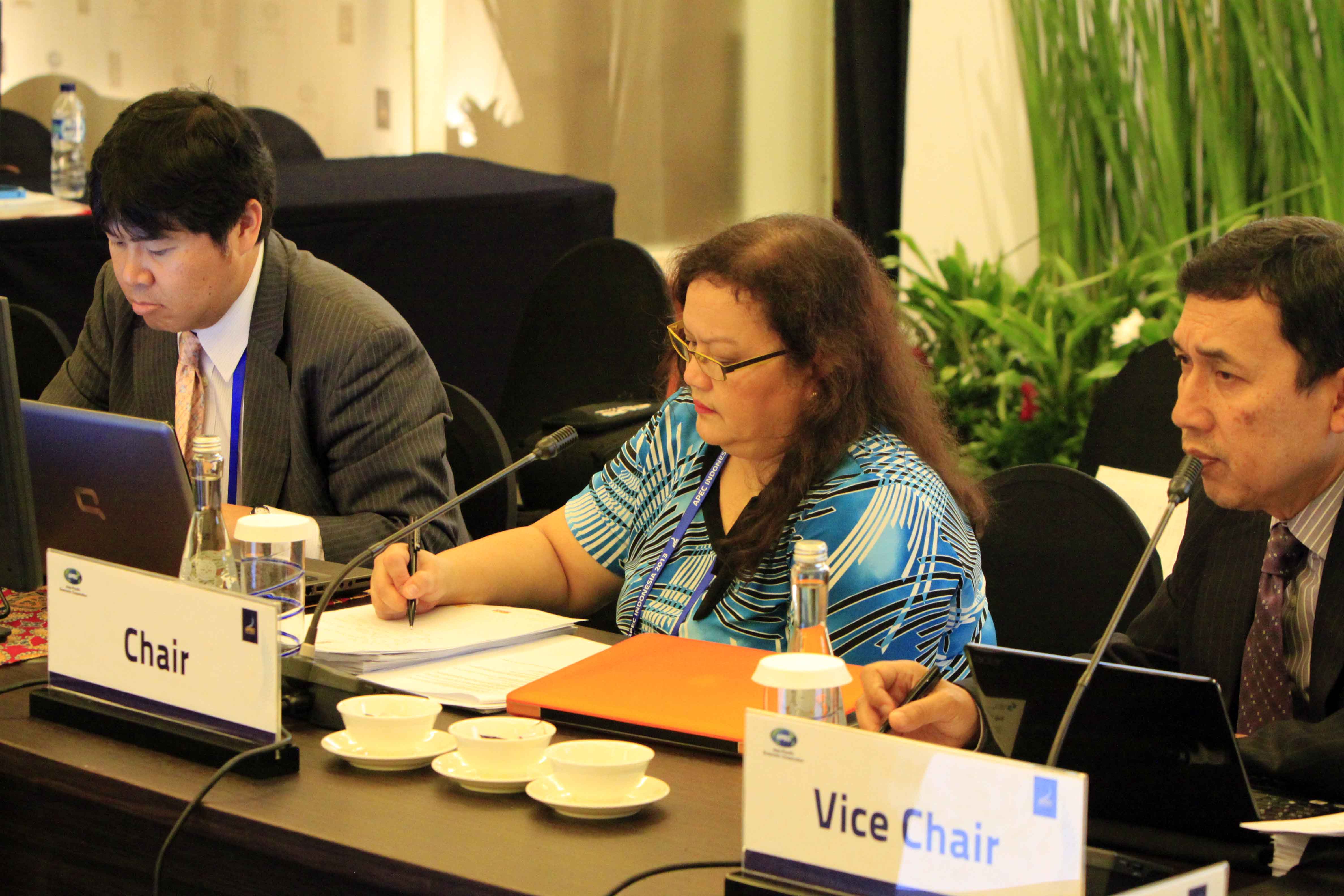 Electronic Commerce Steering Group (ECSG) Meeting | APEC