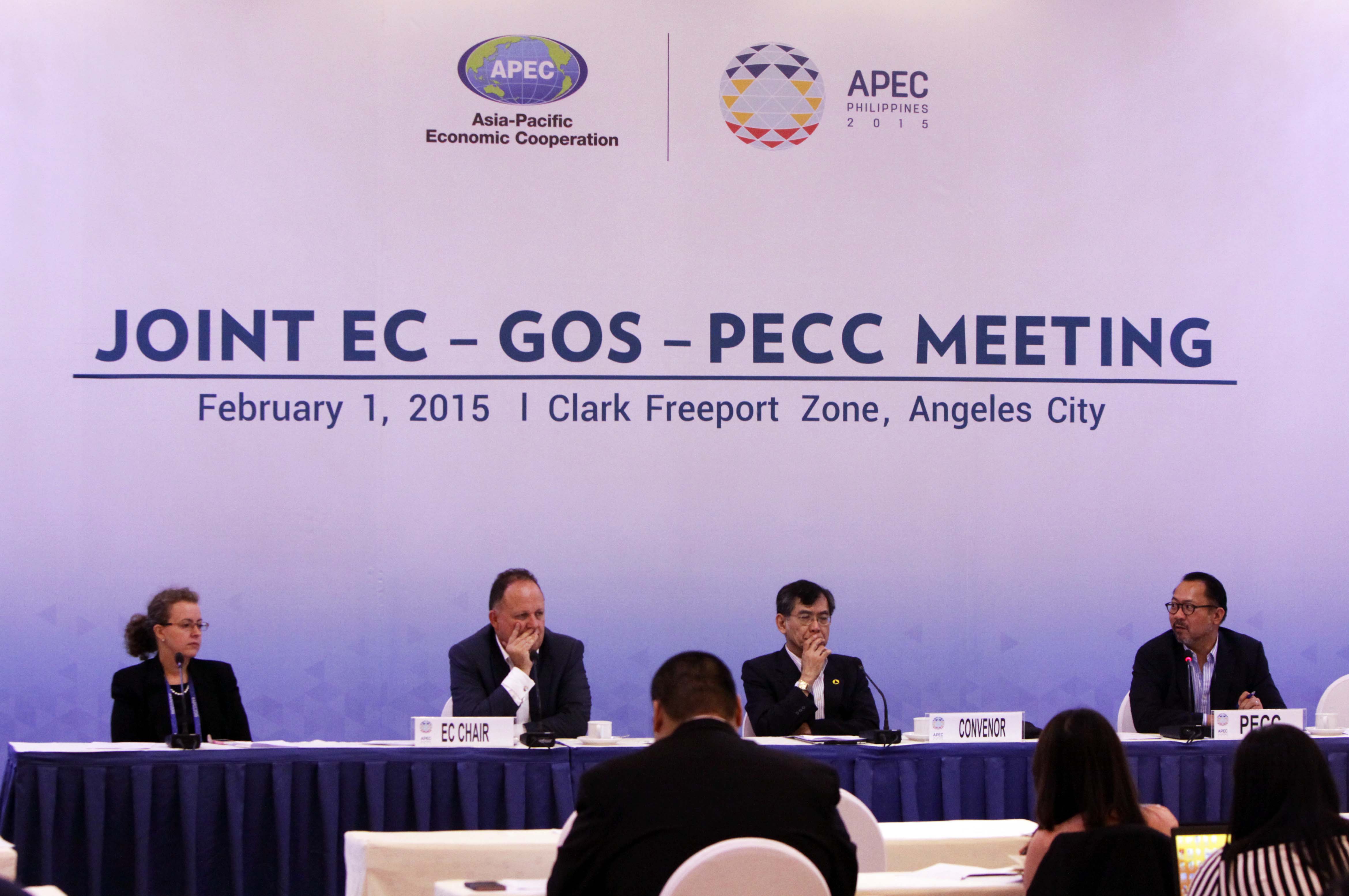 Joint APEC Economic Committee-APEC Group on Services-Pacific Economic ...