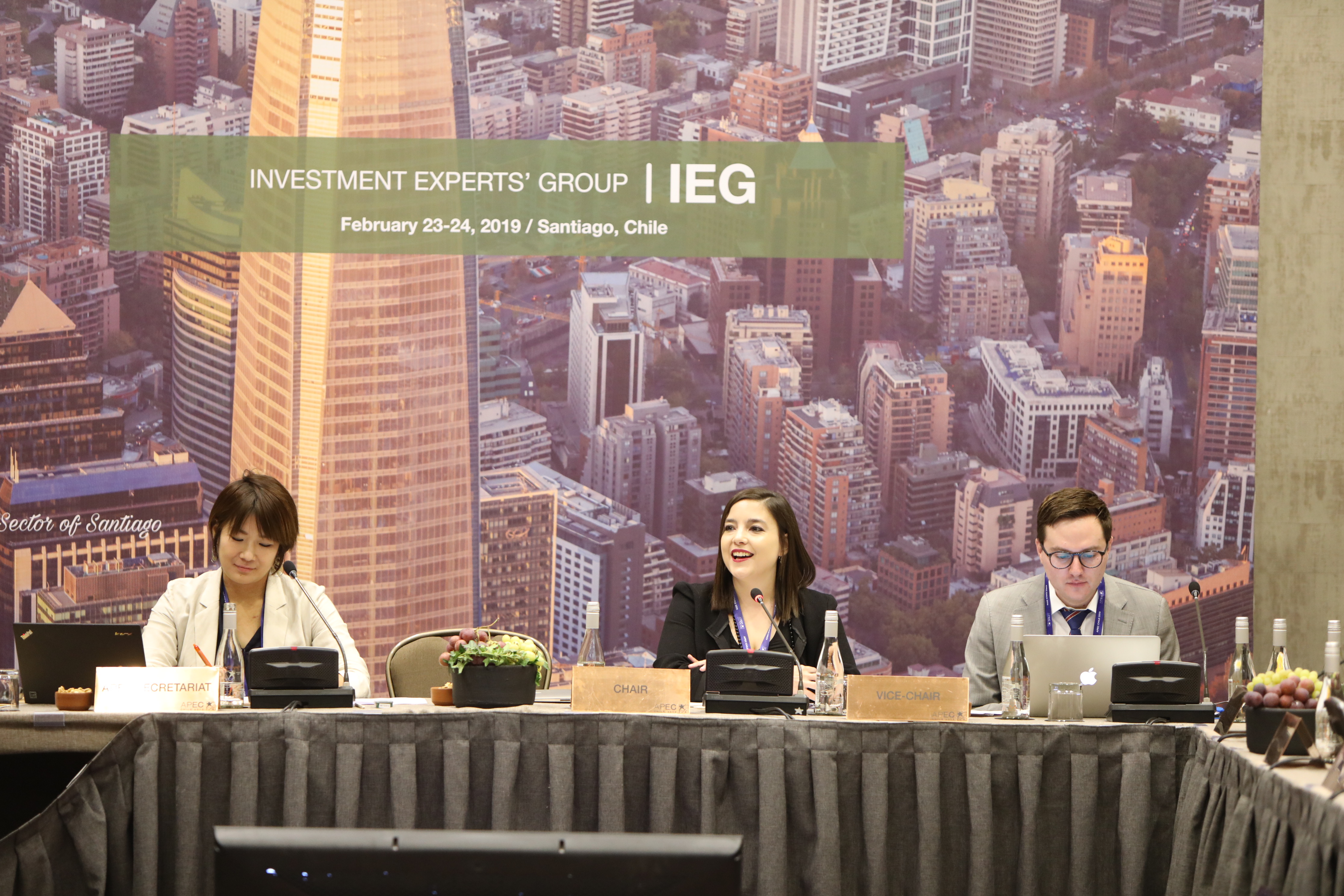 Investment Experts’ Group Meeting | APEC