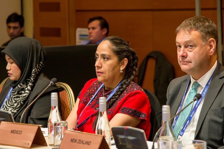 7th Meeting of the APEC Food Safety Cooperation Forum | APEC