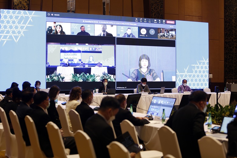 Emergency Preparedness Working Group Meeting | APEC