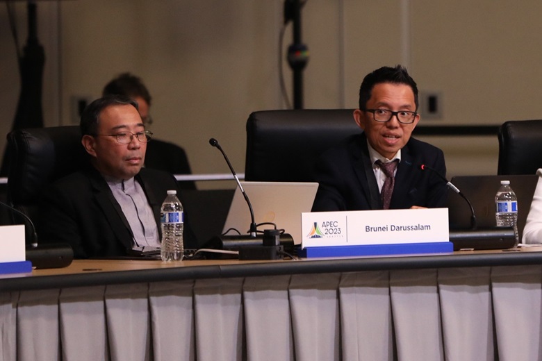 13th APEC High-Level Meeting on Health and the Economy | APEC
