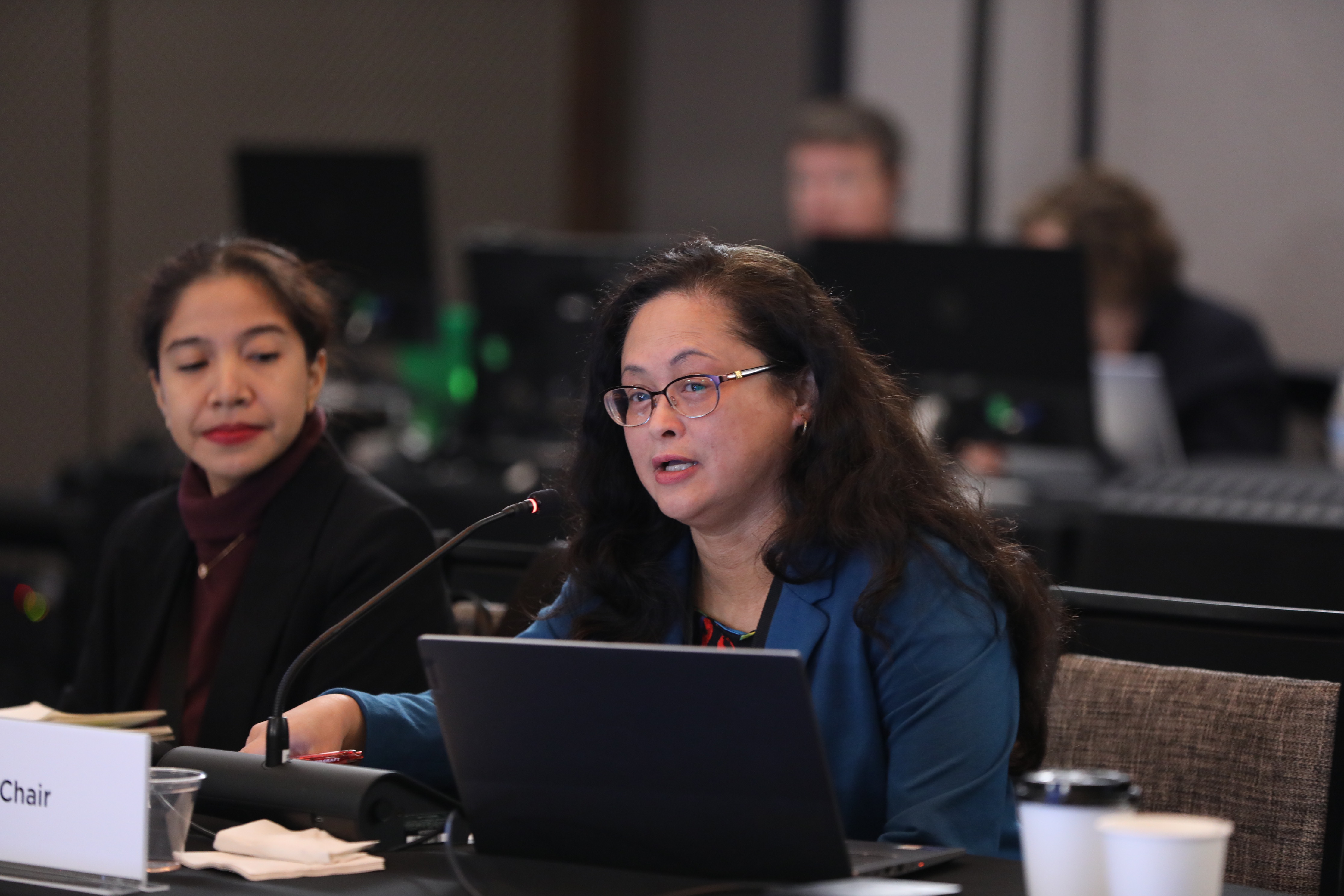 Experts Group on Illegal Logging and Associated Trade Meeting | APEC Experts Group on Illegal Logging and Associated Trade Meeting | APEC