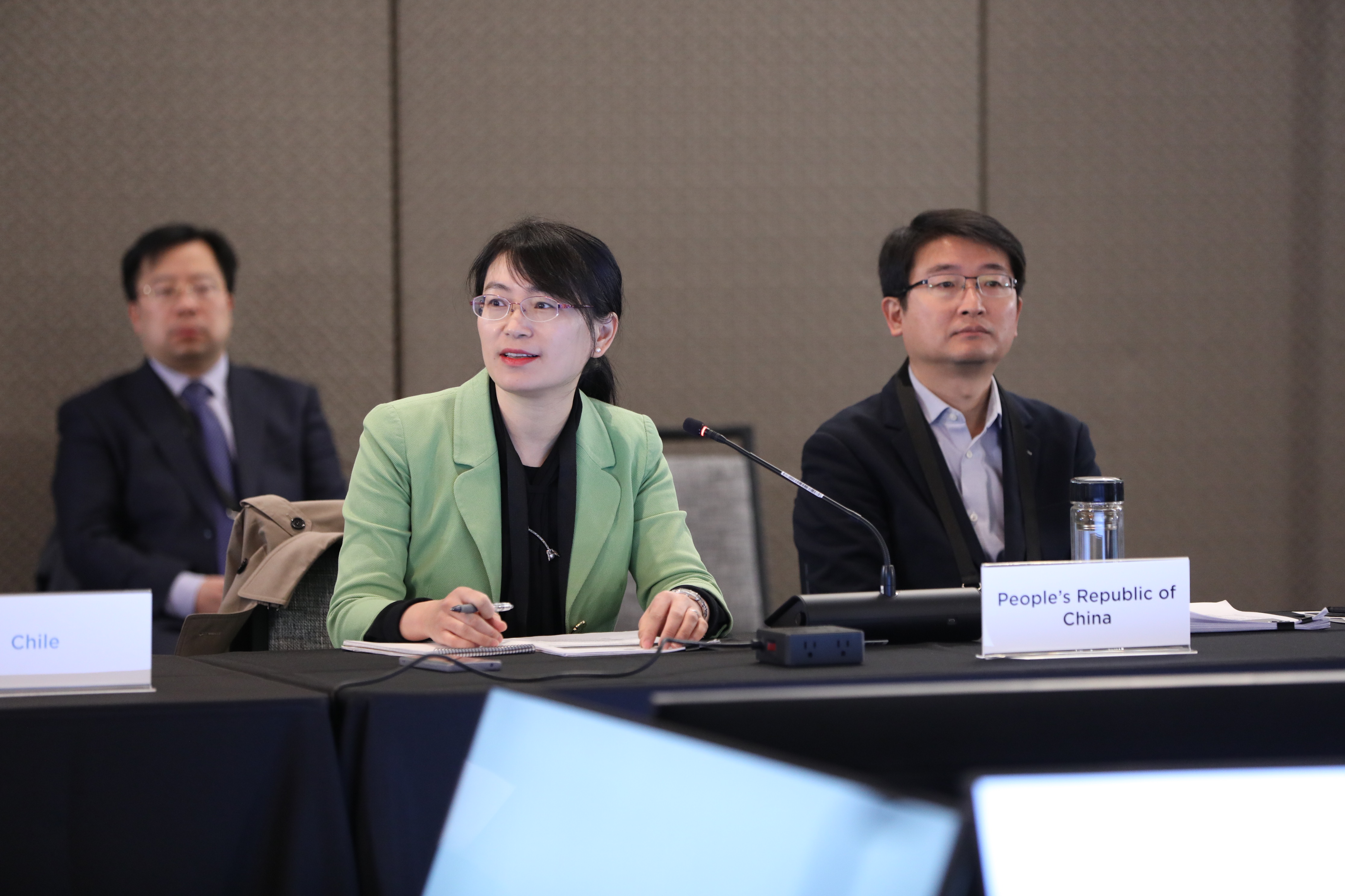 Experts Group on Illegal Logging and Associated Trade Meeting | APEC Experts Group on Illegal Logging and Associated Trade Meeting | APEC