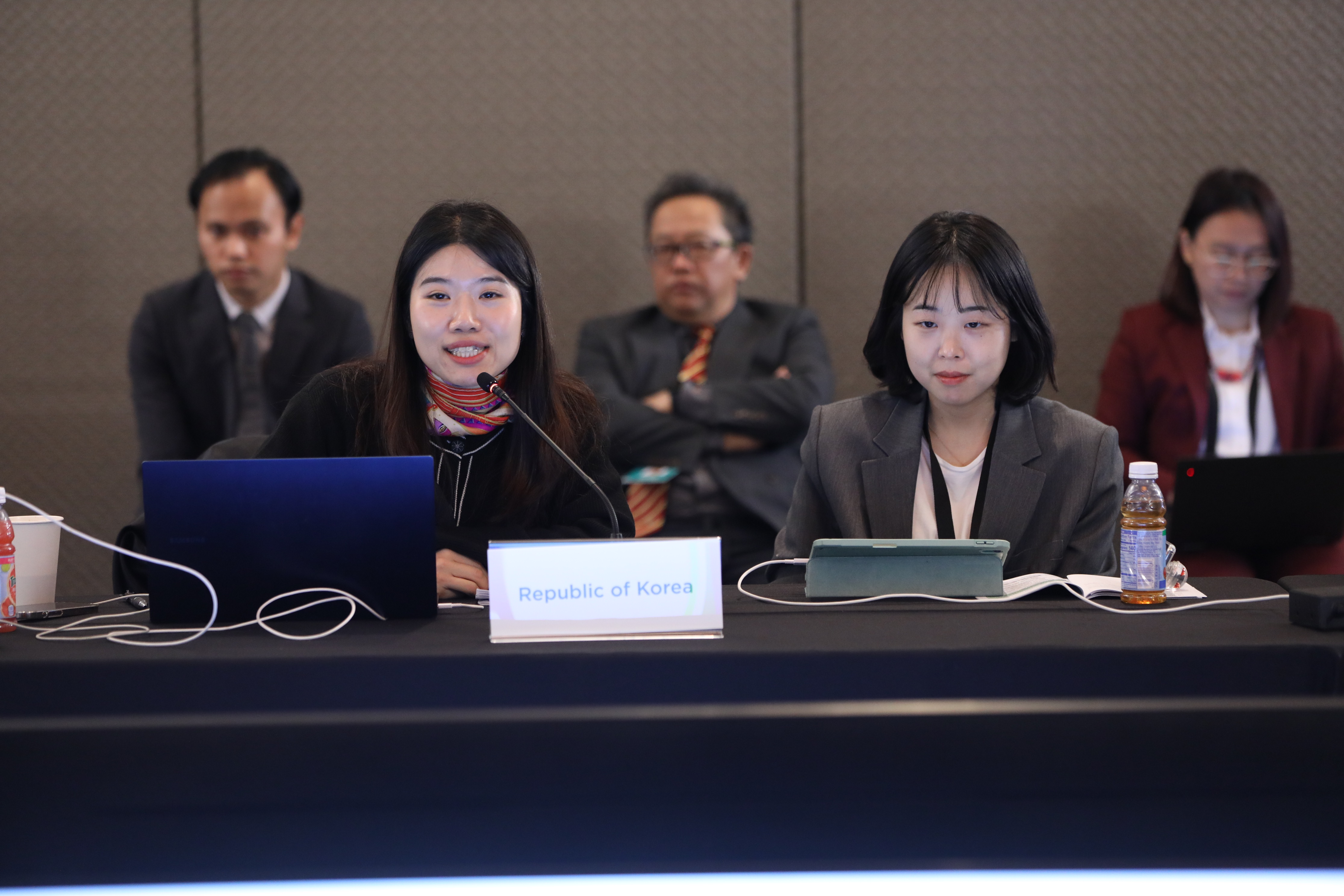 Experts Group on Illegal Logging and Associated Trade Meeting | APEC Experts Group on Illegal Logging and Associated Trade Meeting | APEC