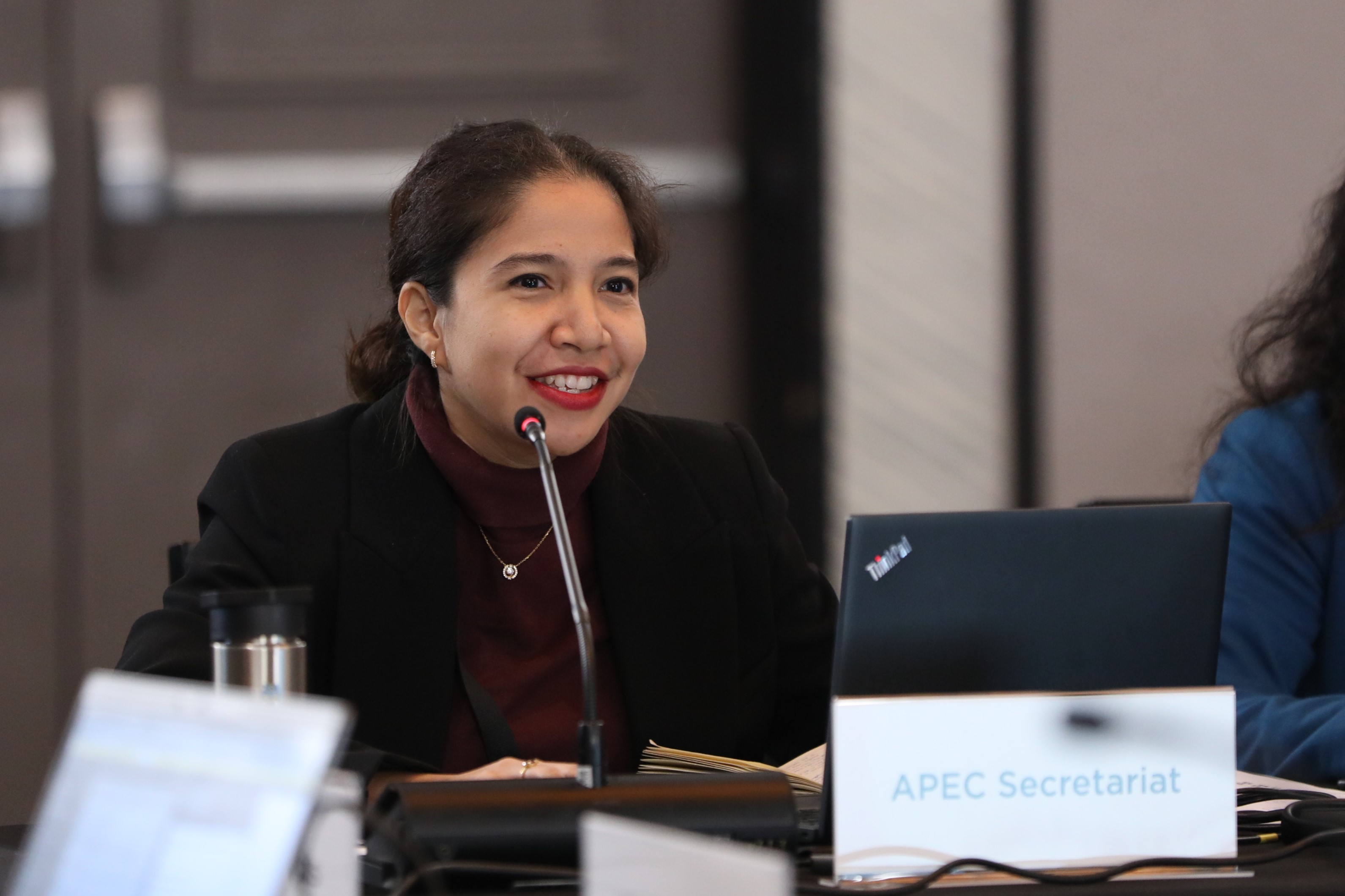 Experts Group on Illegal Logging and Associated Trade Meeting | APEC Experts Group on Illegal Logging and Associated Trade Meeting | APEC