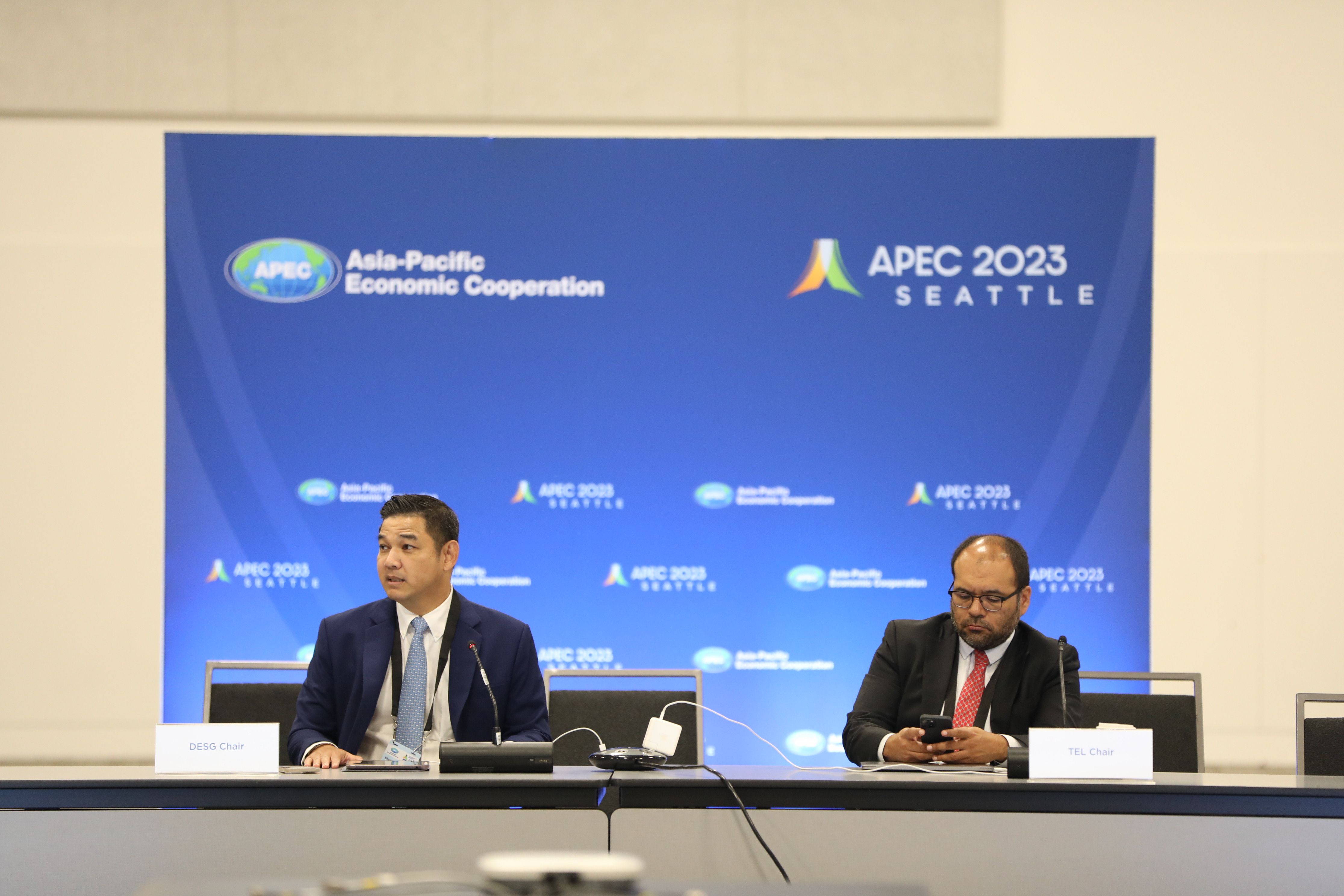 DESG/TEL: Joint Public Private Dialogue | APEC