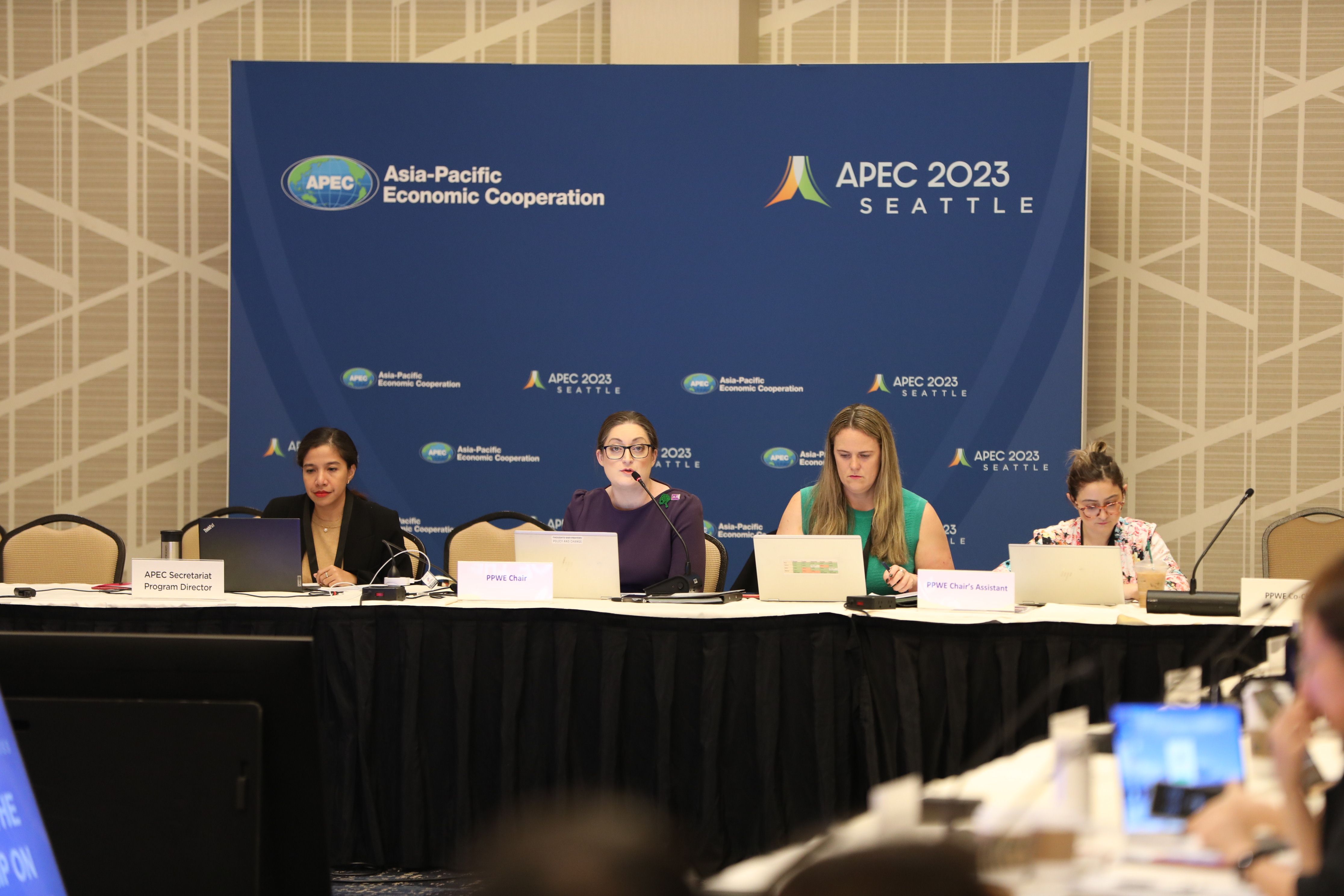 PPWE: Second Meeting of the Policy Partnership on Women and the Economy | APEC