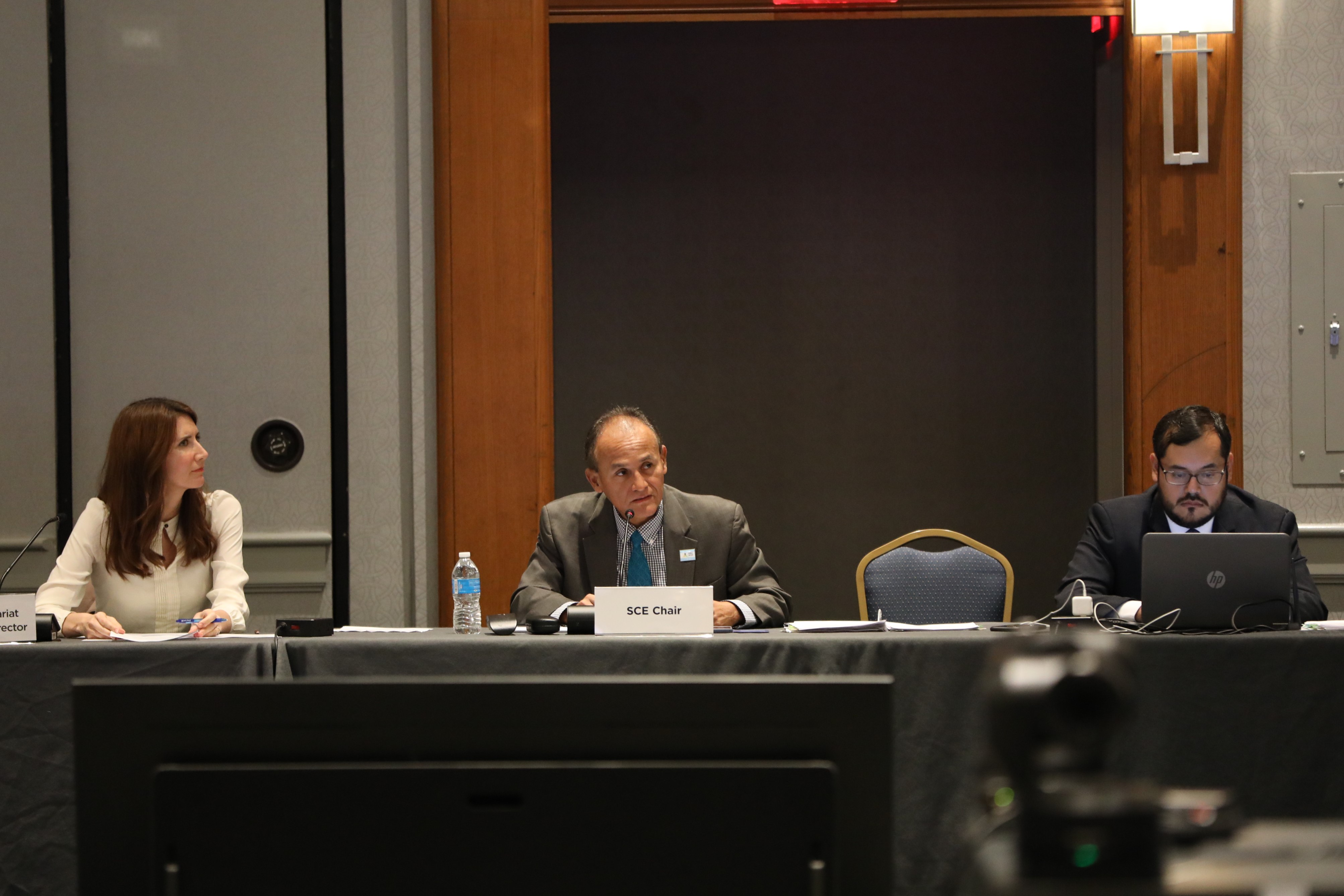 Steering Committee on Economic and Technical Cooperation: SOM Steering ...