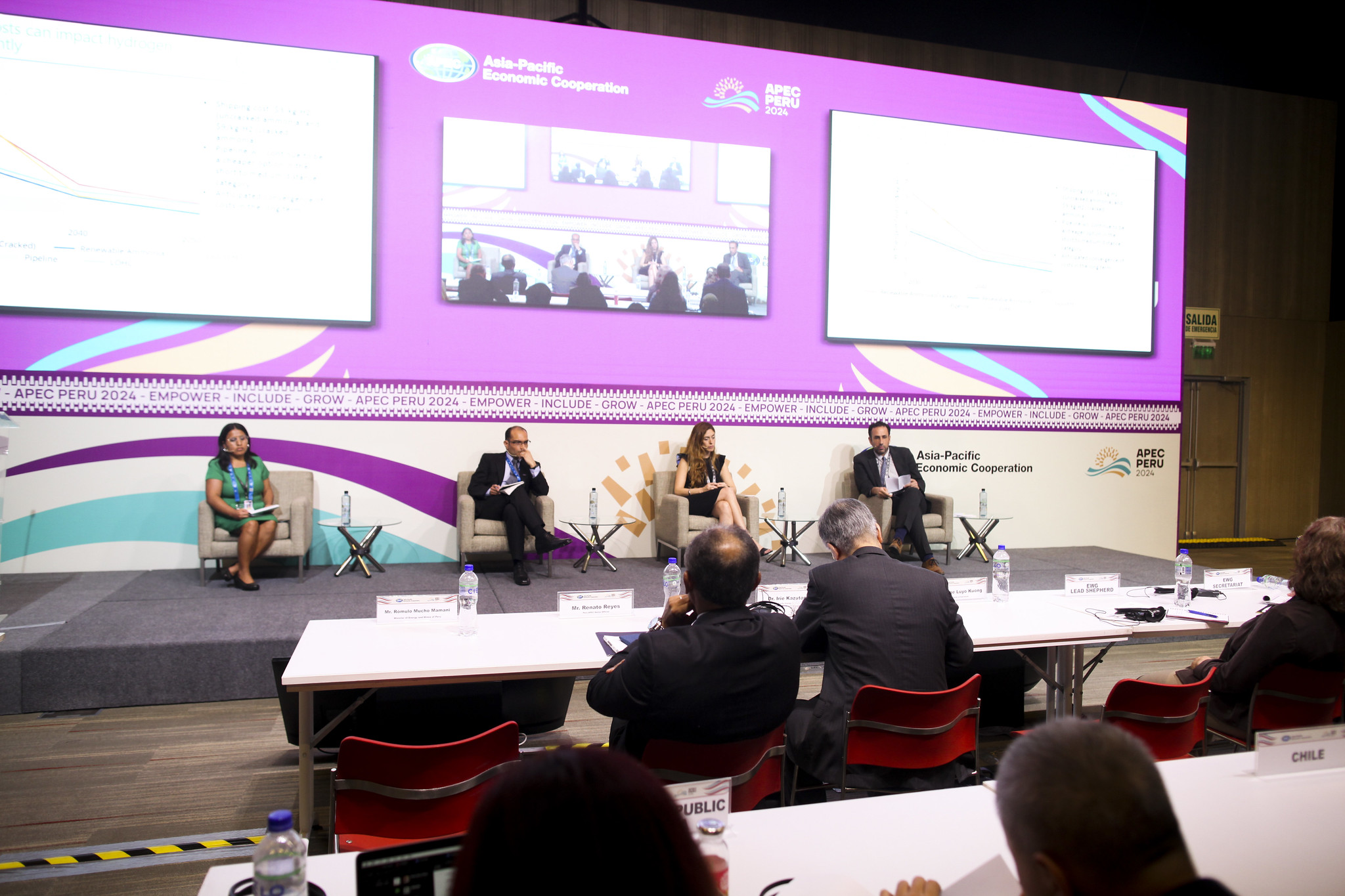 EWG Energy Working Group and Associated Meetings | APEC