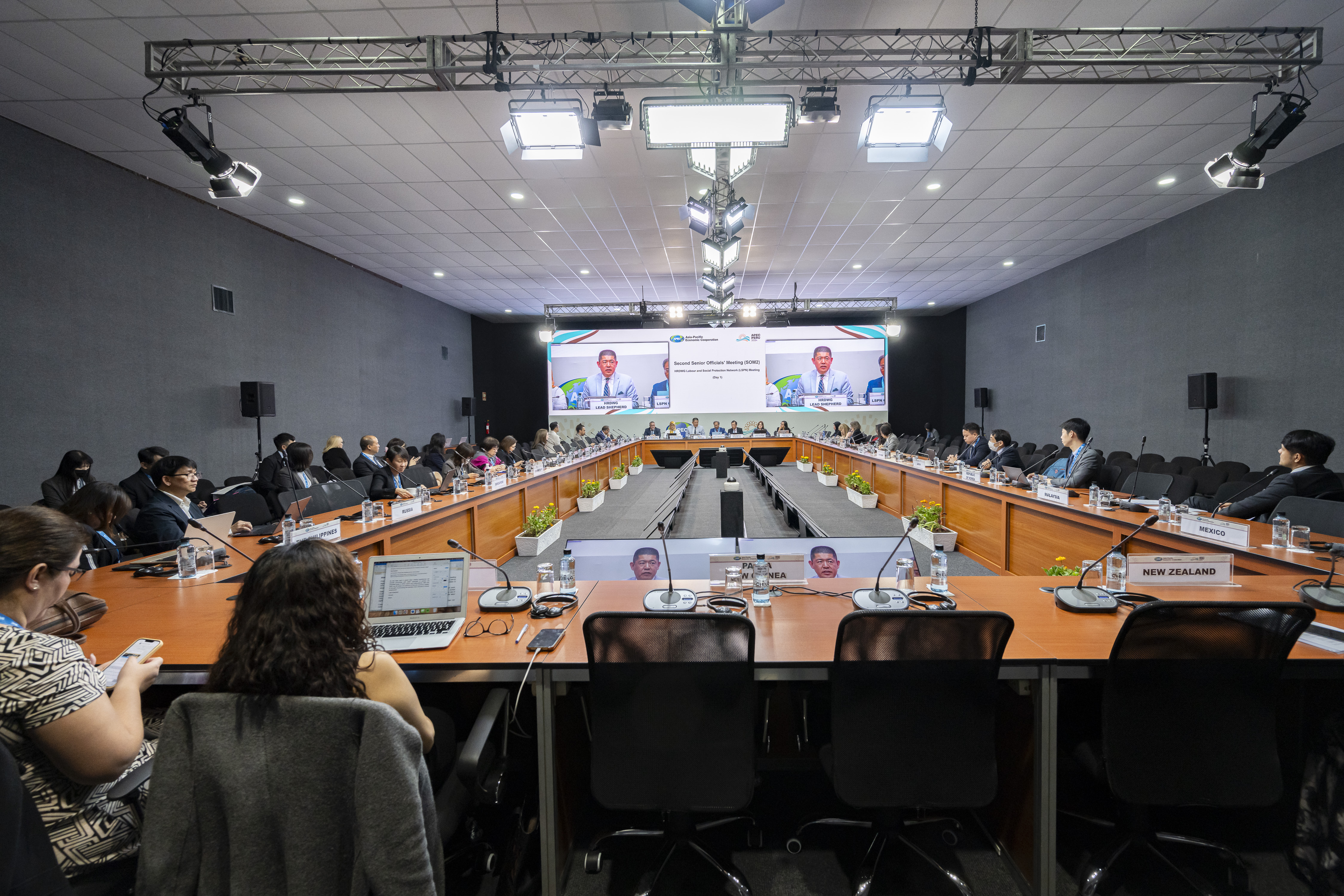 HRDWG Labor and Social Protection Network (LSPN) Meeting | APEC