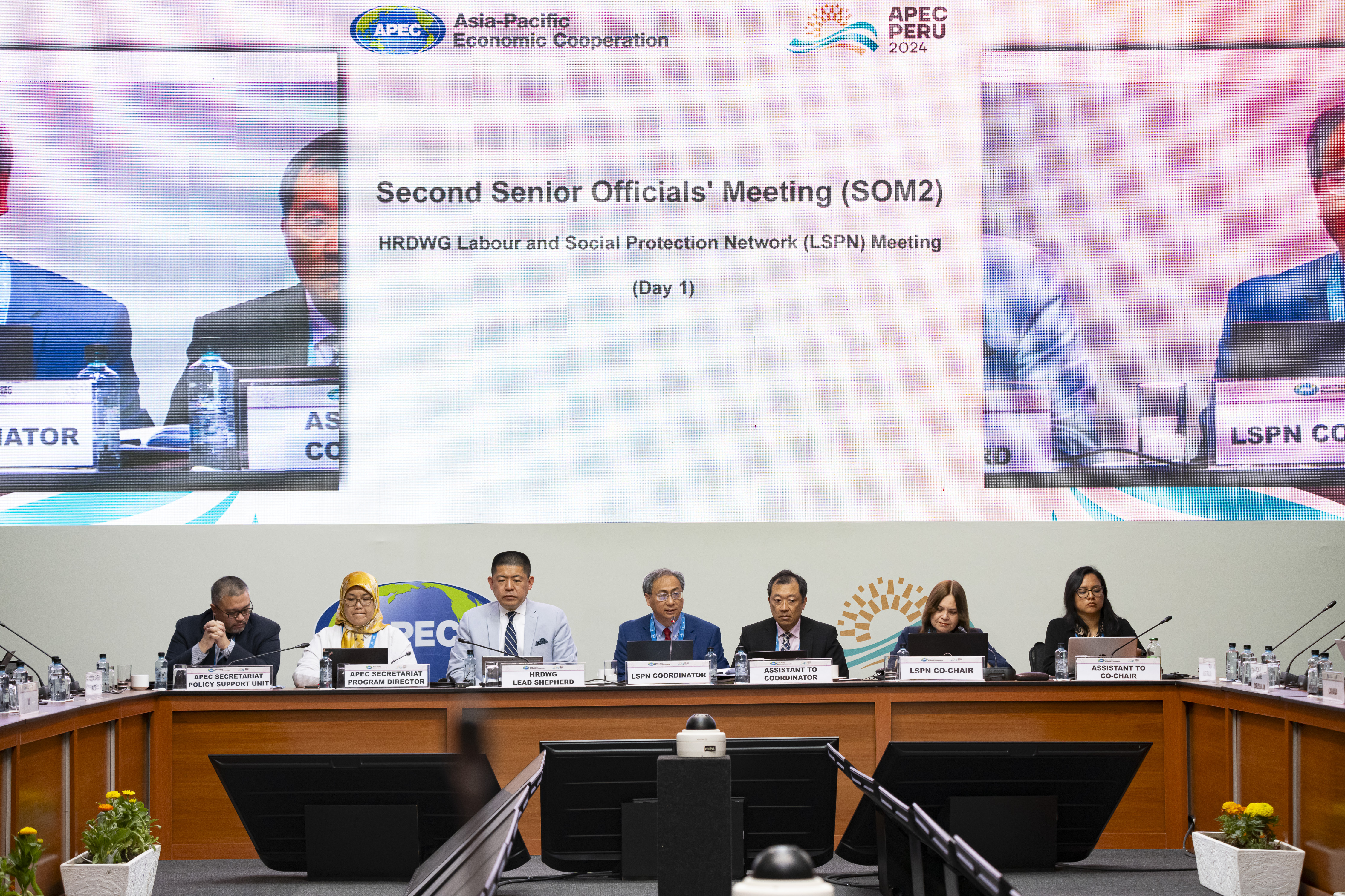 HRDWG Labor and Social Protection Network (LSPN) Meeting | APEC