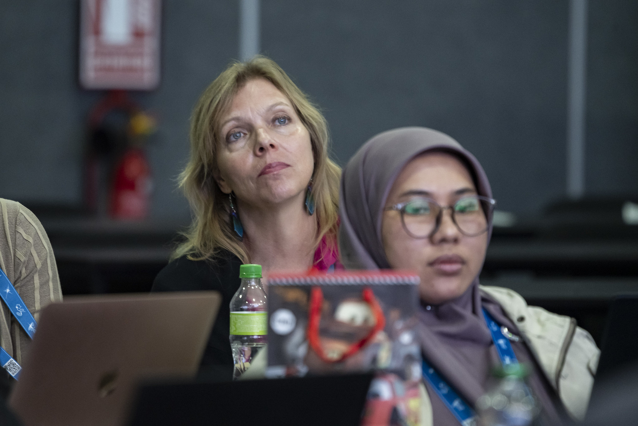 PPWE Workshop on Implementing the Seattle Framework on Gender Equality and Climate Change | APEC