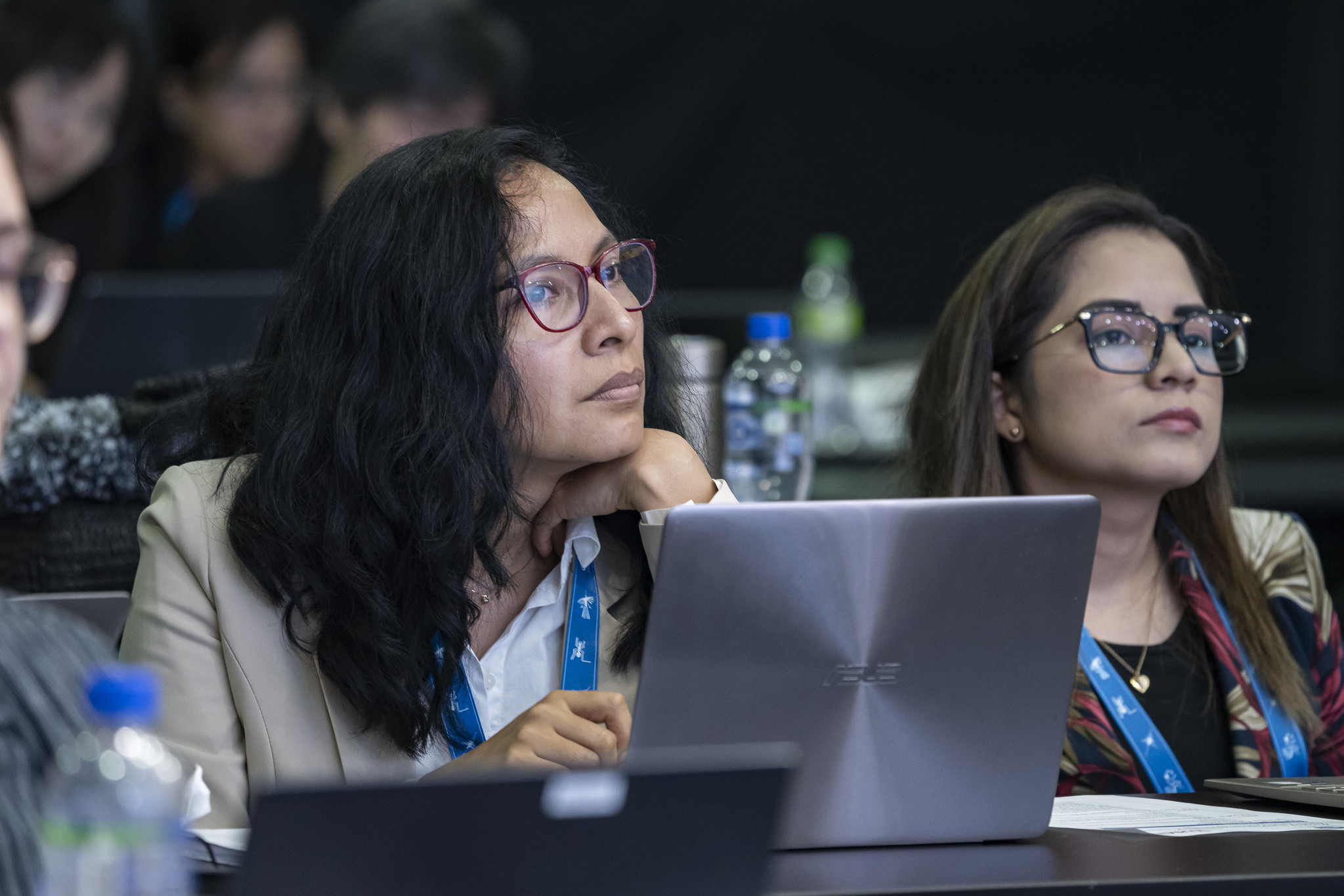 PPWE Workshop on Implementing the Seattle Framework on Gender Equality and Climate Change | APEC
