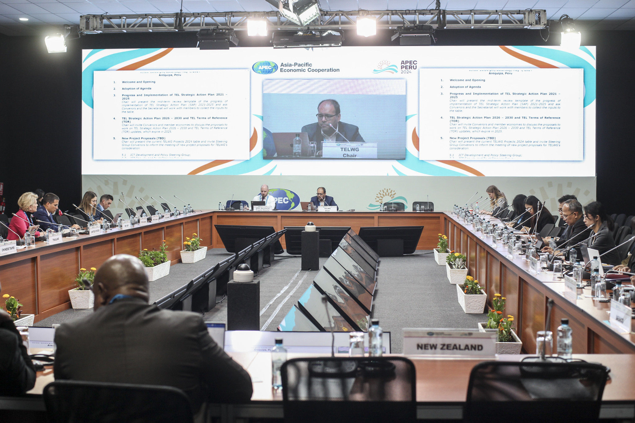 TELWG Telecommunications and Information Working Group Heads of ...
