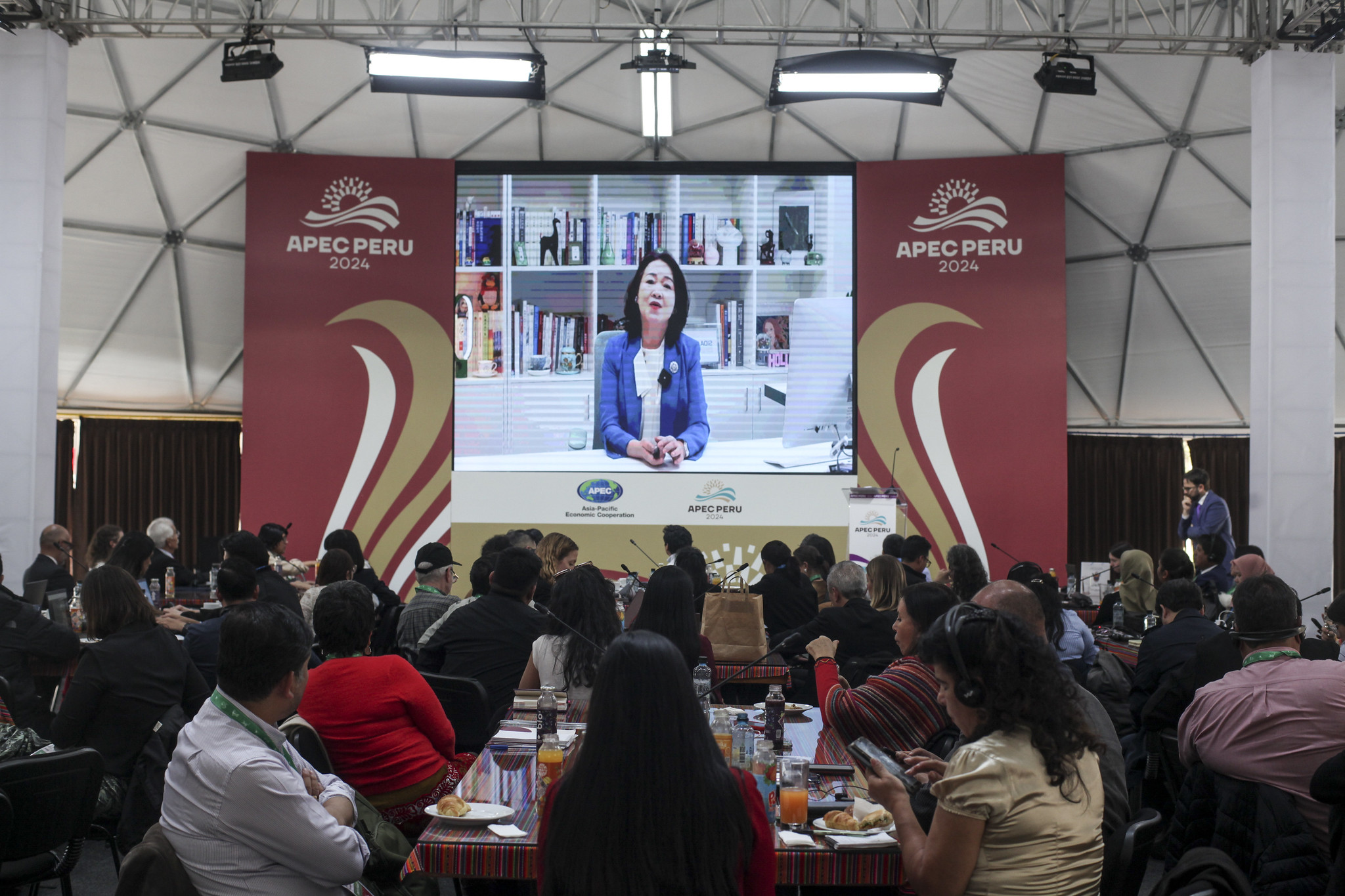 TWG Working Group Workshop | APEC