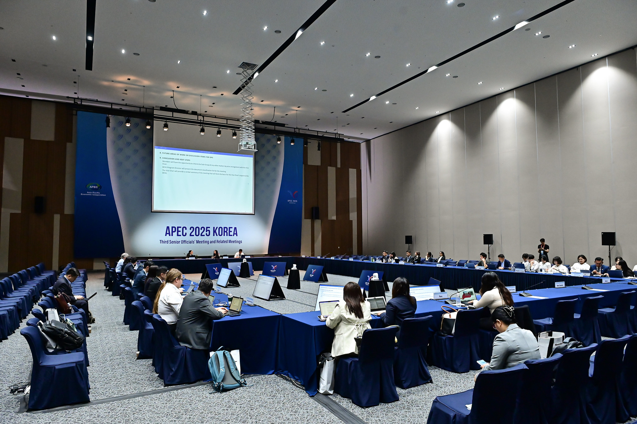 DESG-DPS: 51st Data Privacy Sub-group (DPS) Plenary Meeting | APEC