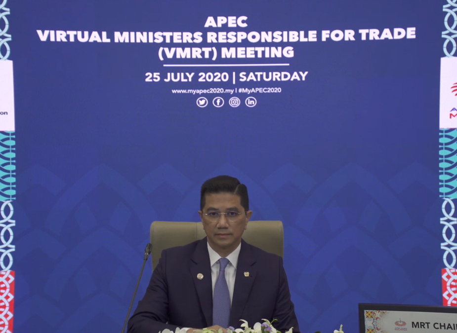 Chair's Opening Remarks: 2020 APEC Virtual Ministers Responsible for ...